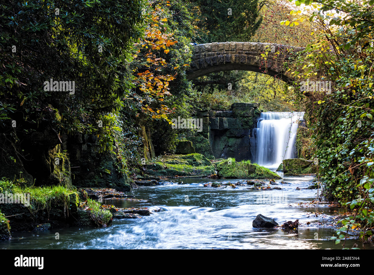 Jesmond dene hi-res stock photography and images - Alamy