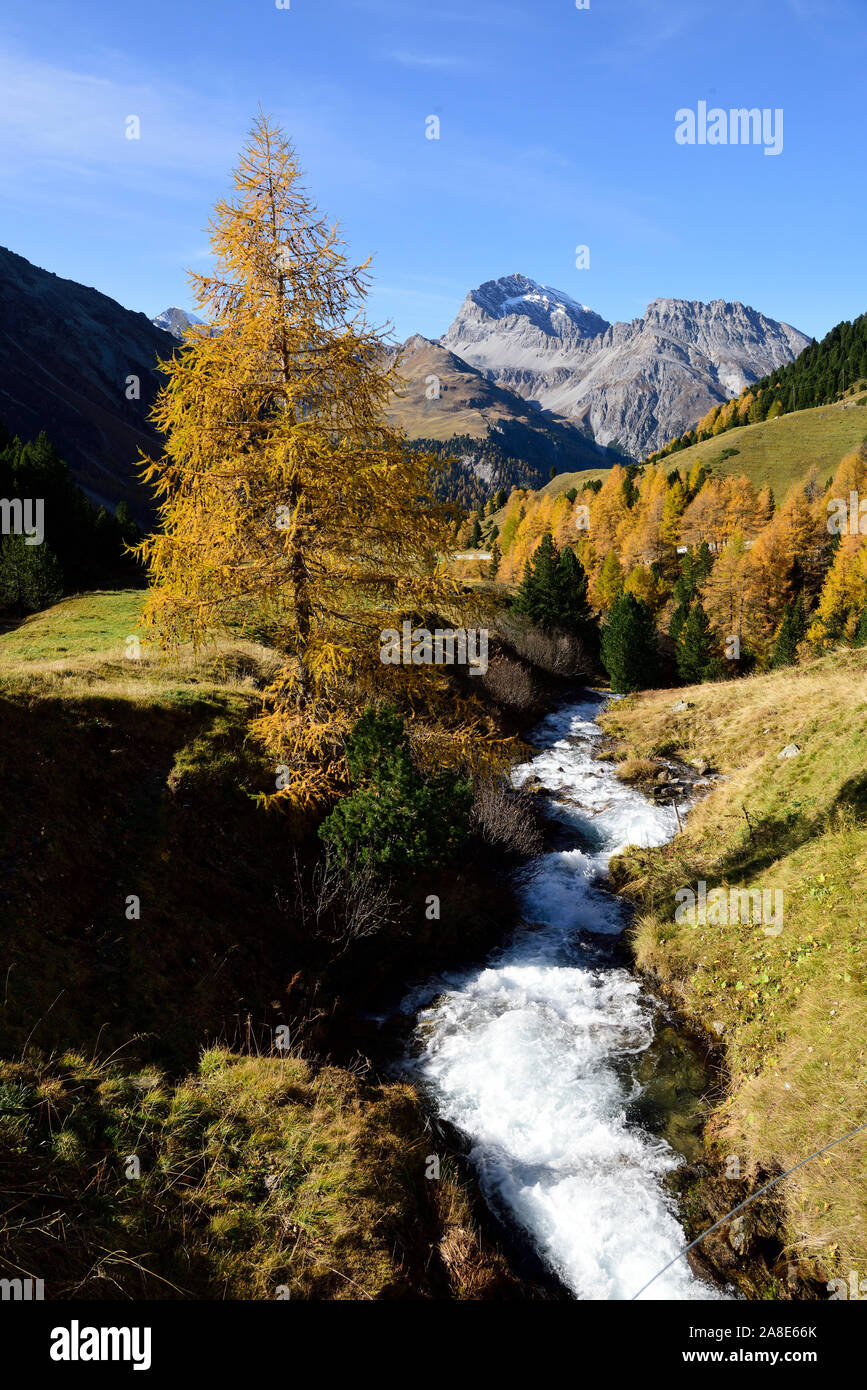 Alp weissenstein hi-res stock photography and images - Alamy