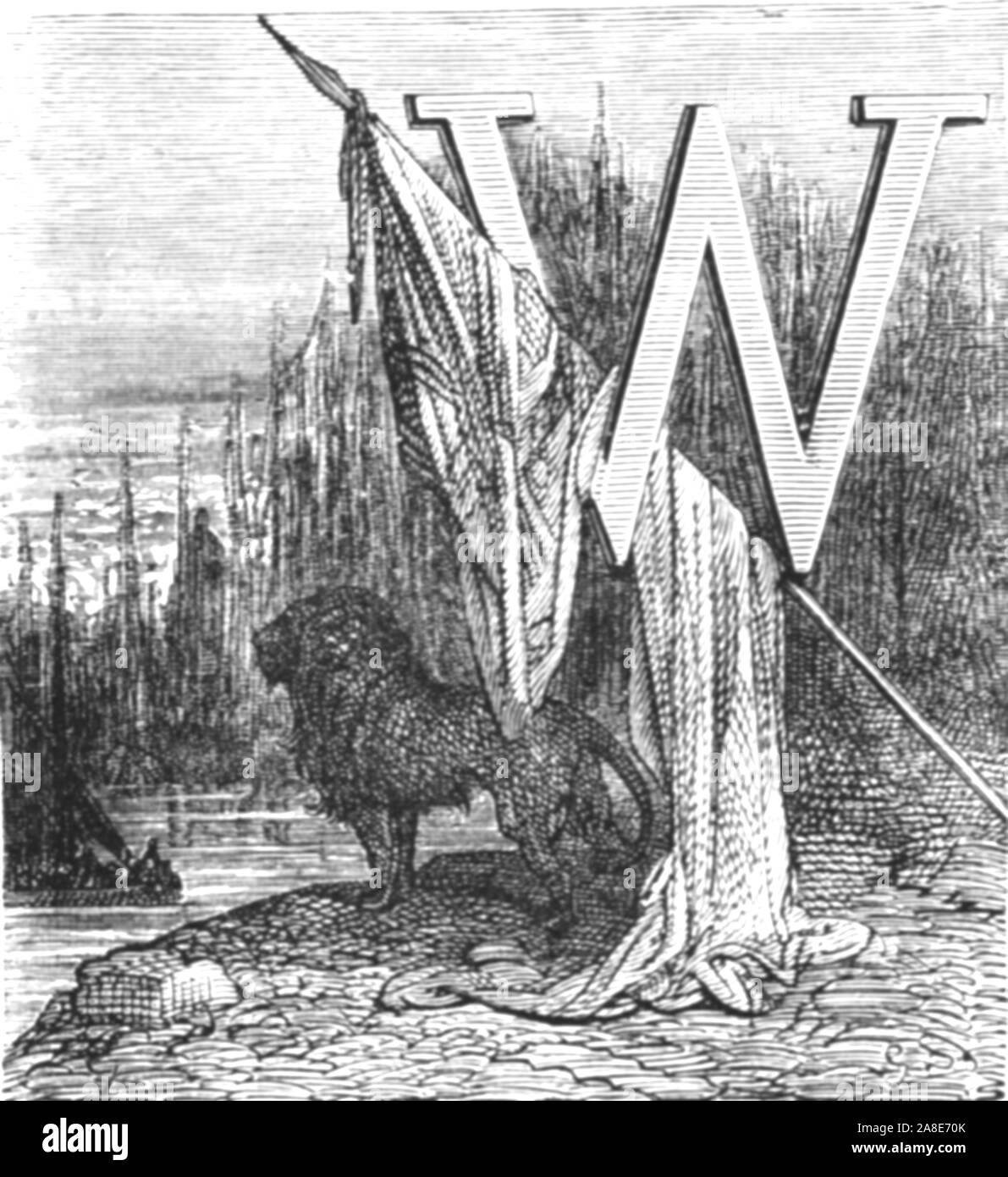 English lion flags hi-res stock photography and images - Alamy