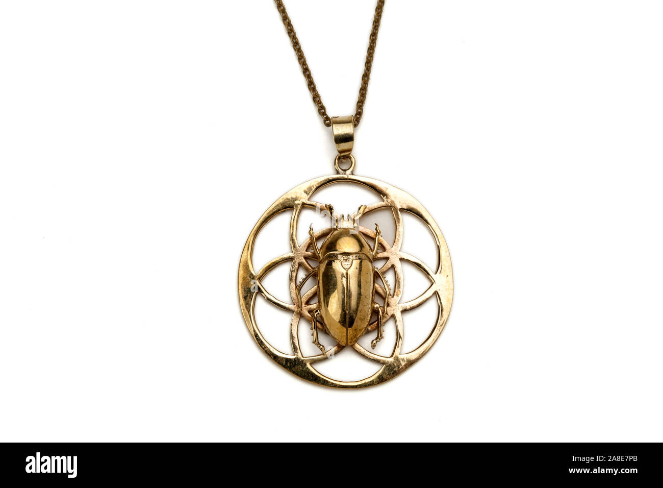 Brass June beetle necklace pendant Stock Photo - Alamy