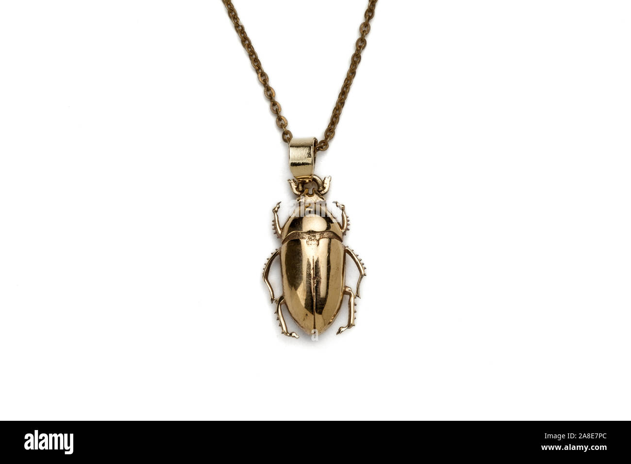 June bugs hi-res stock photography and images - Alamy