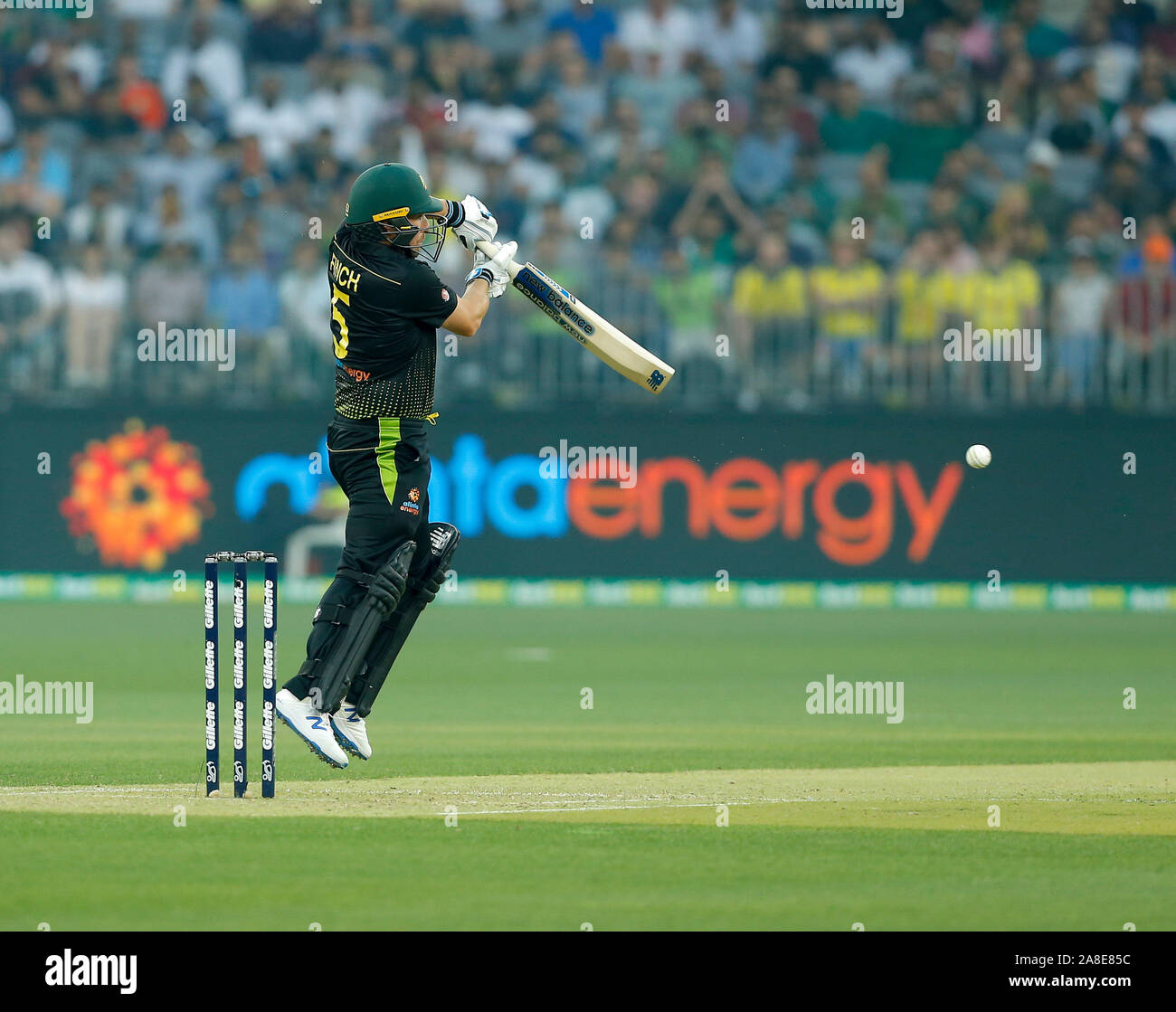 Aaron finch australia t20 hi-res stock photography and images - Alamy