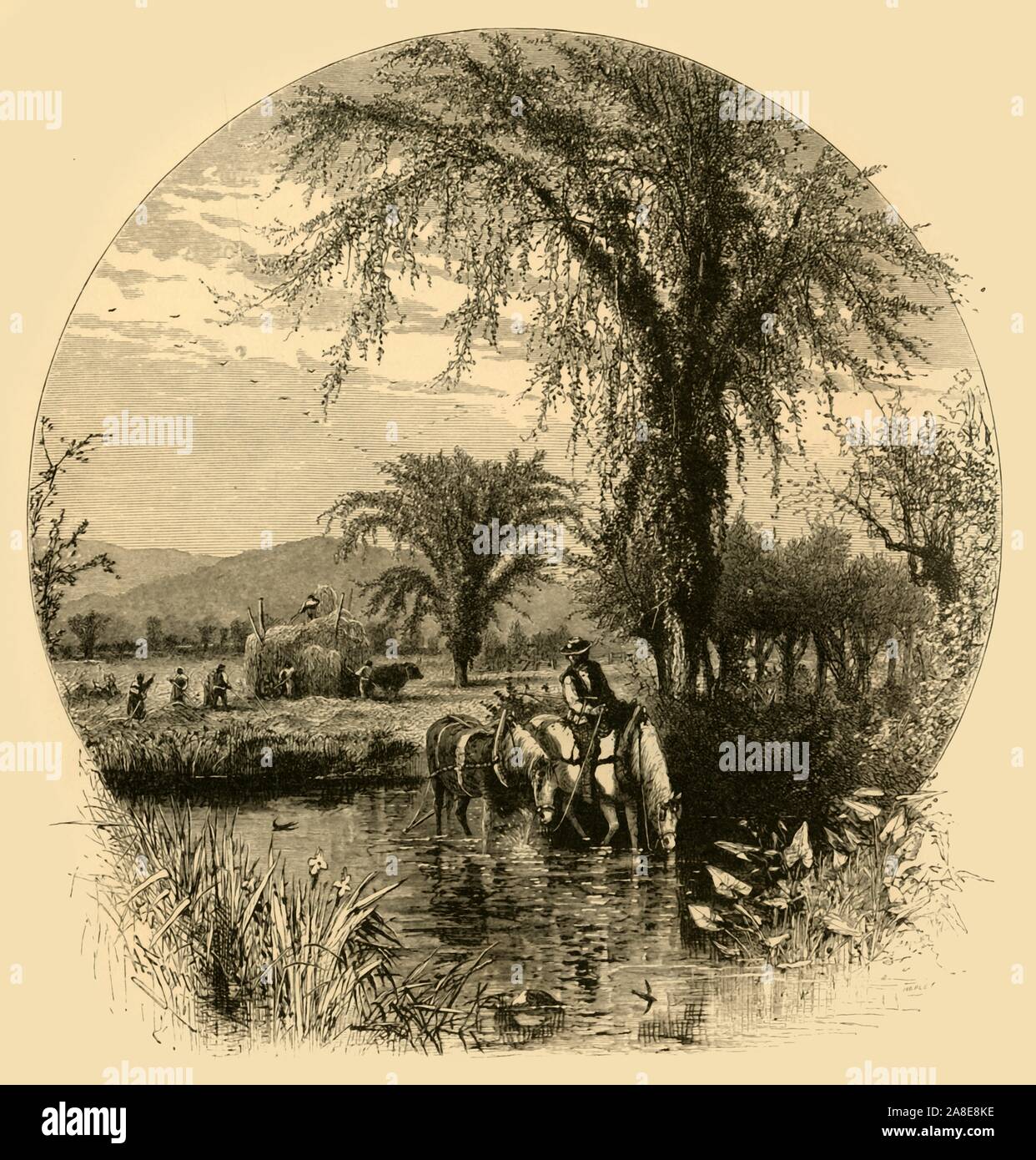 American farming concept hi-res stock photography and images - Alamy