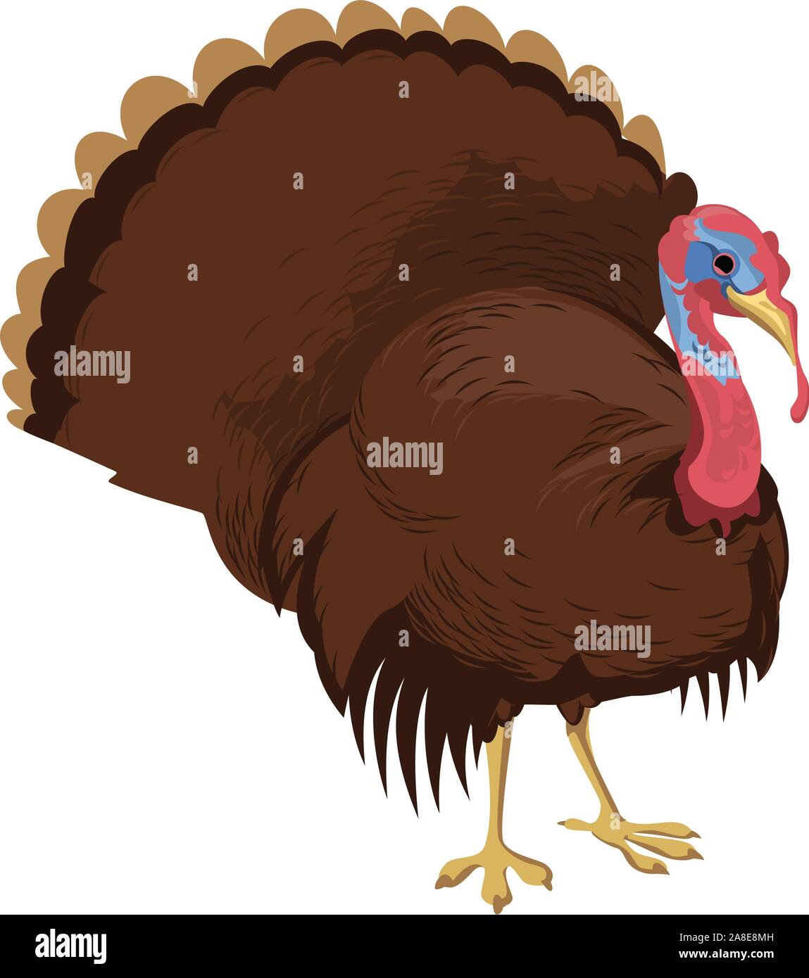 Turkey vector illustration Stock Vector Image & Art - Alamy