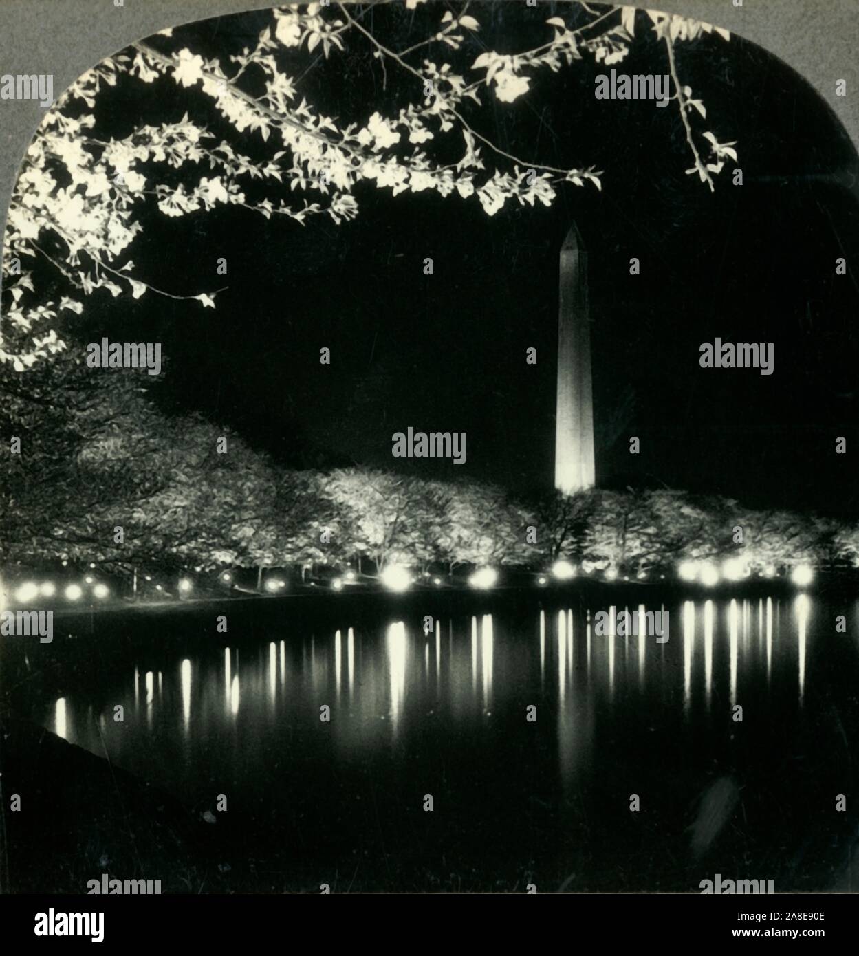 George washington cherry tree hi-res stock photography and images - Alamy