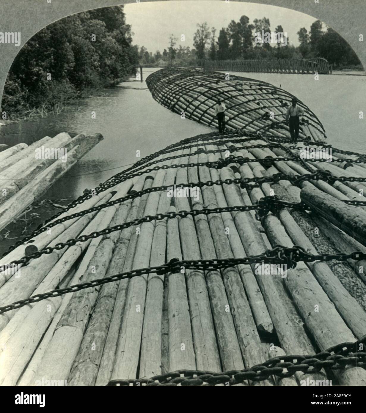 'Great Chained Log Rafts on the Columbia River, Wash.', c1930s. From ...