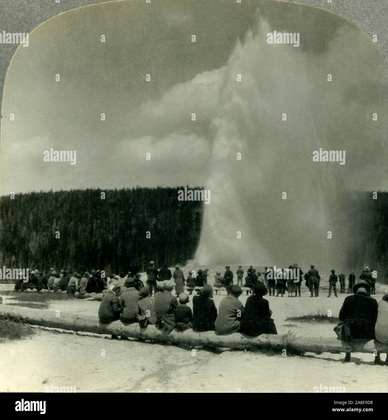 'The Most Famous Sight in Yellowstone Park, "Old Faithful" Geyser in ...