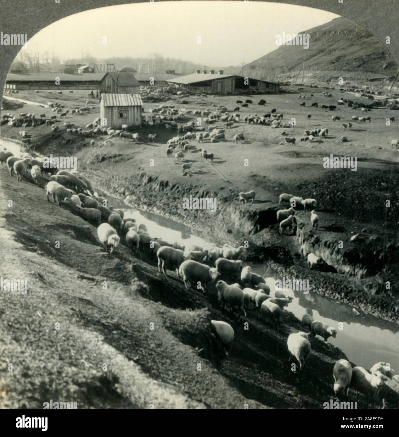 Farming usa 1930s hi-res stock photography and images - Alamy