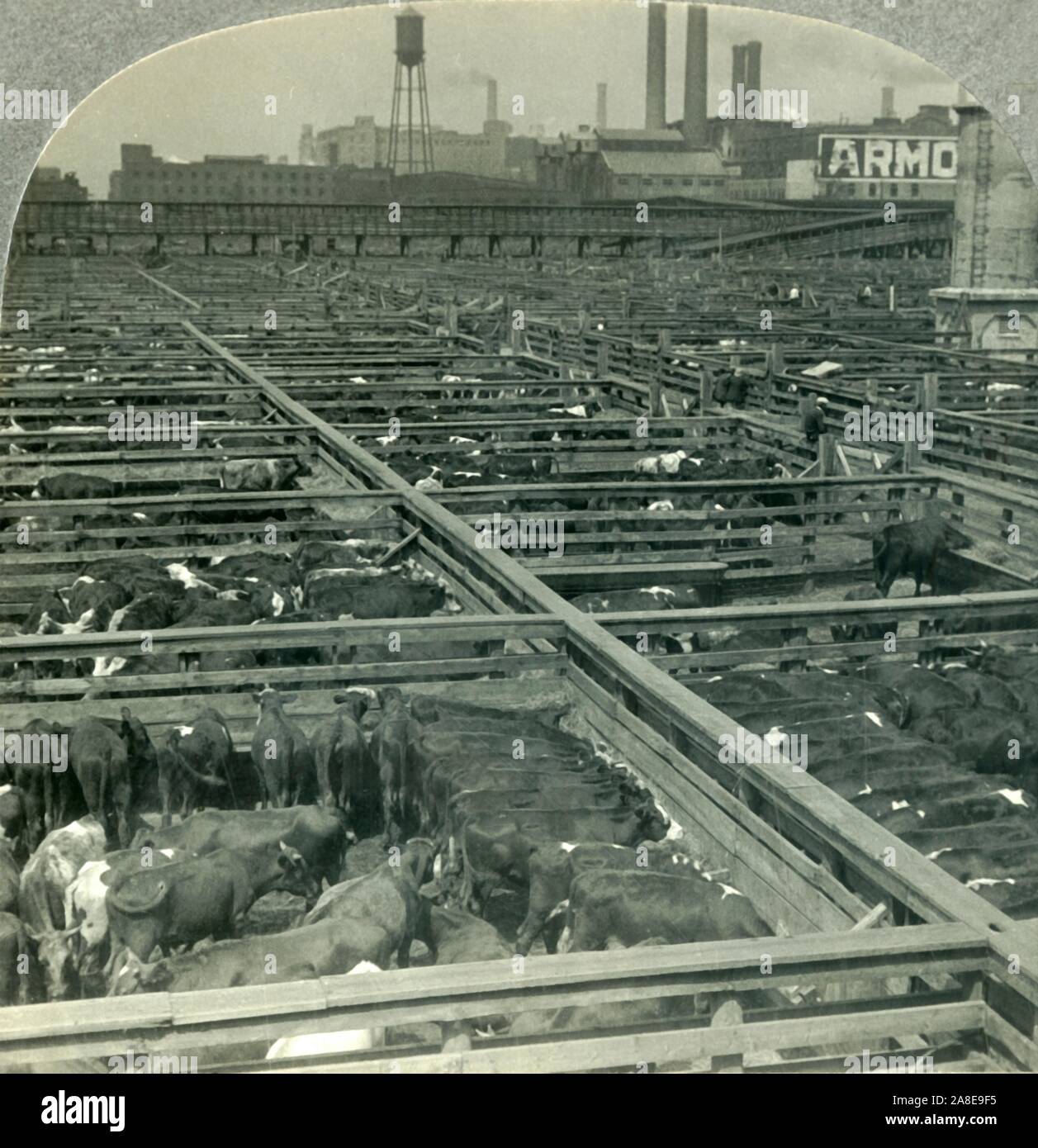 Union stock yards hi-res stock photography and images - Alamy