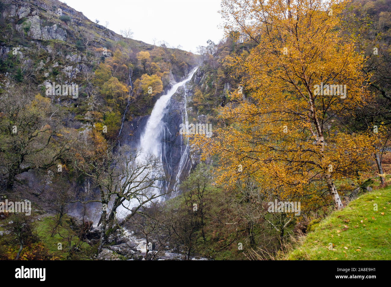 Autumn colours at Aber Falls (Rhaeadr Fawr) waterfall in Coedydd Aber ...