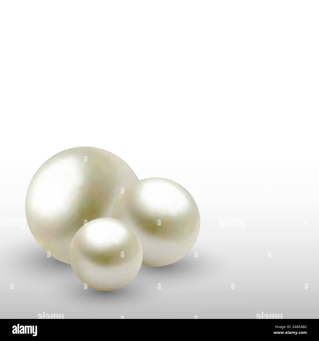 Pearl branch Stock Vector Images - Alamy