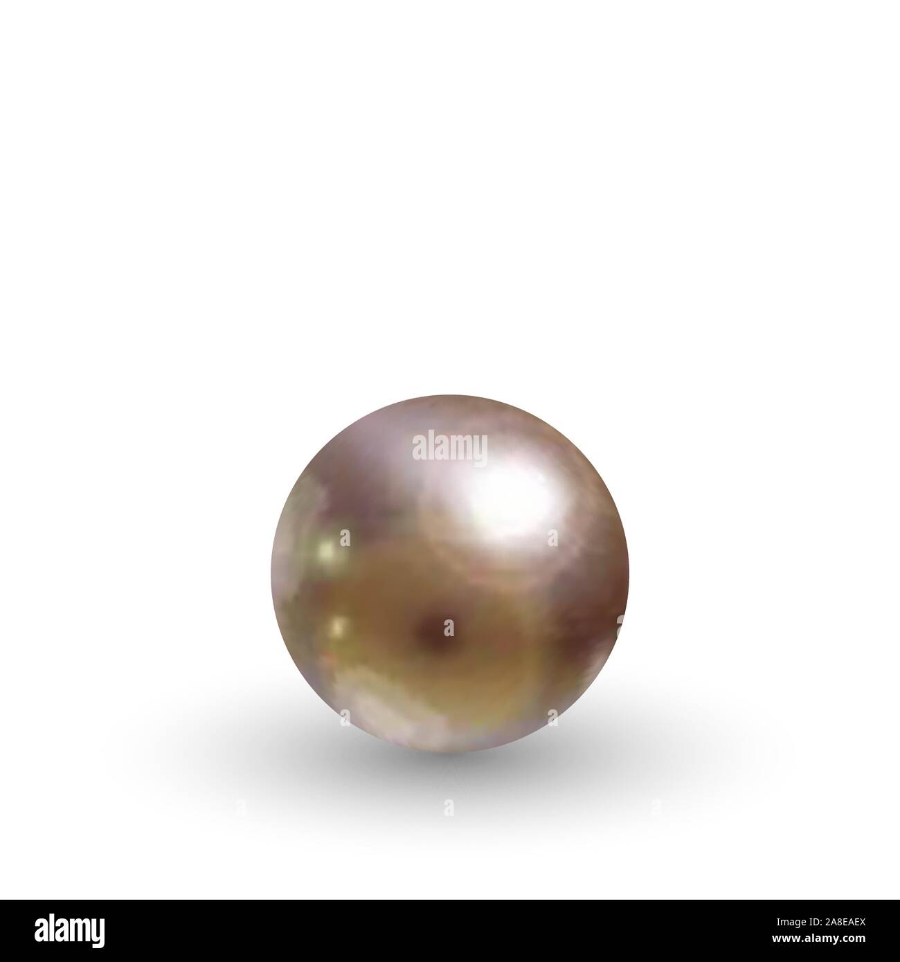 Beautiful 3D shiny natural color Pearl Vector Illustration. Isolated ...