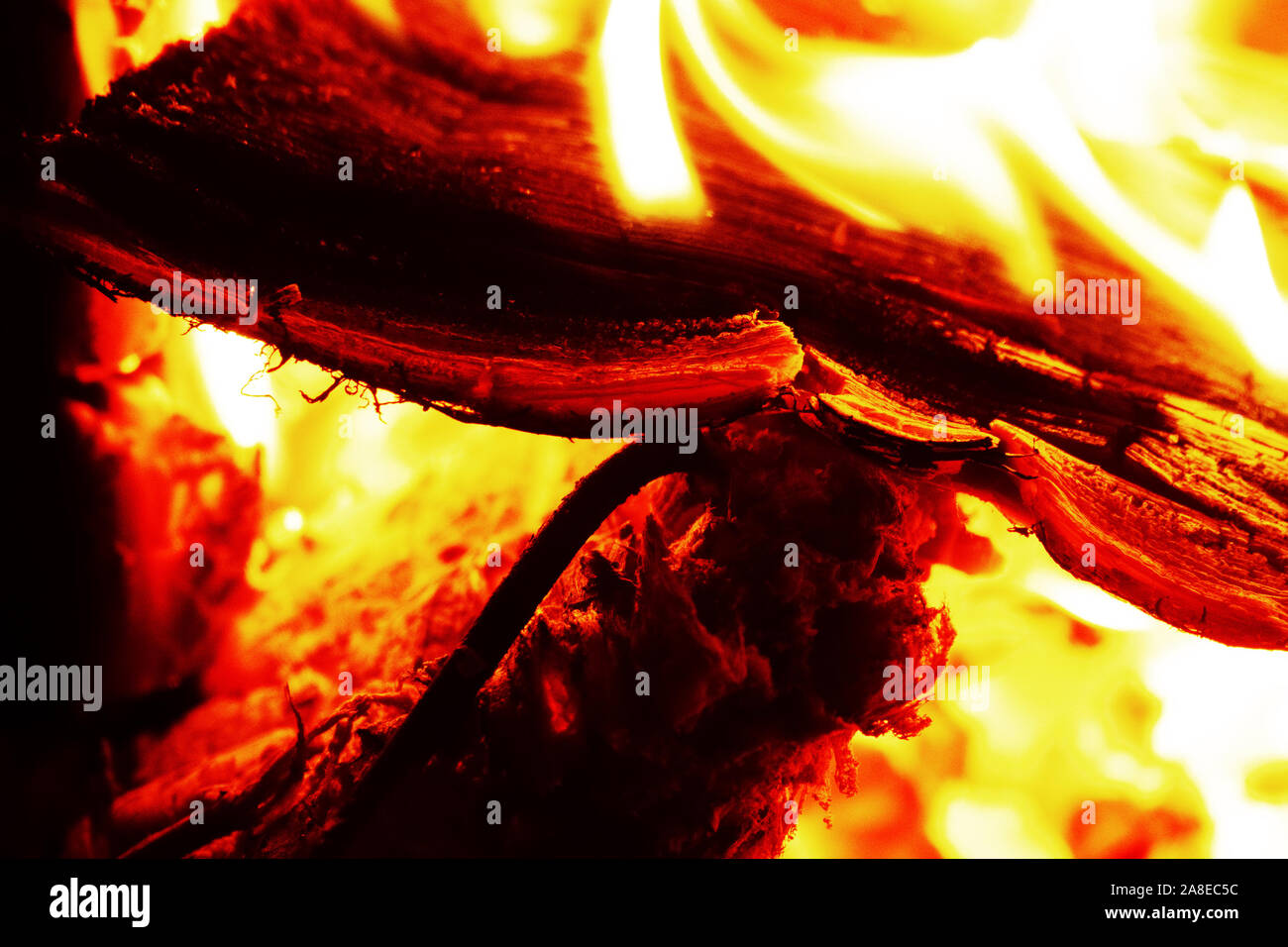 Burnt out campfire hi-res stock photography and images - Alamy
