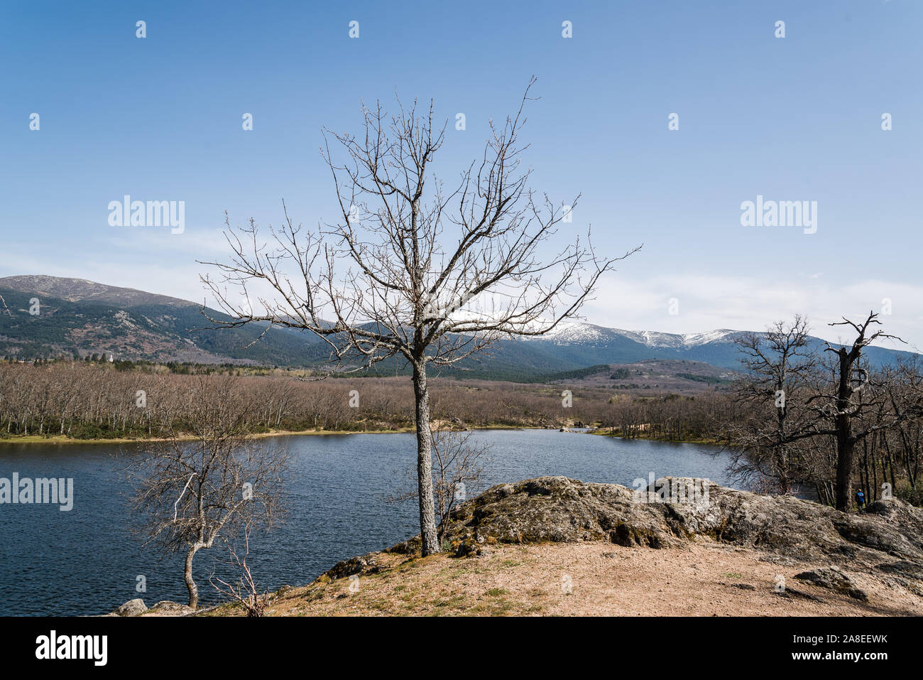 Green tree reservoir hi-res stock photography and images - Alamy