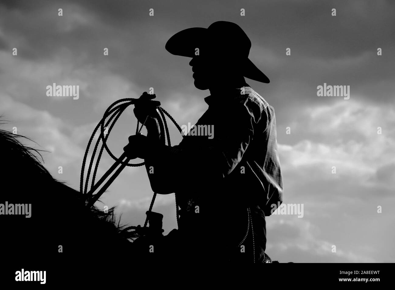 Calf Roping Silhouette