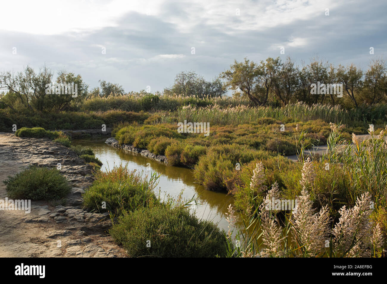 Jungle france hi-res stock photography and images - Alamy