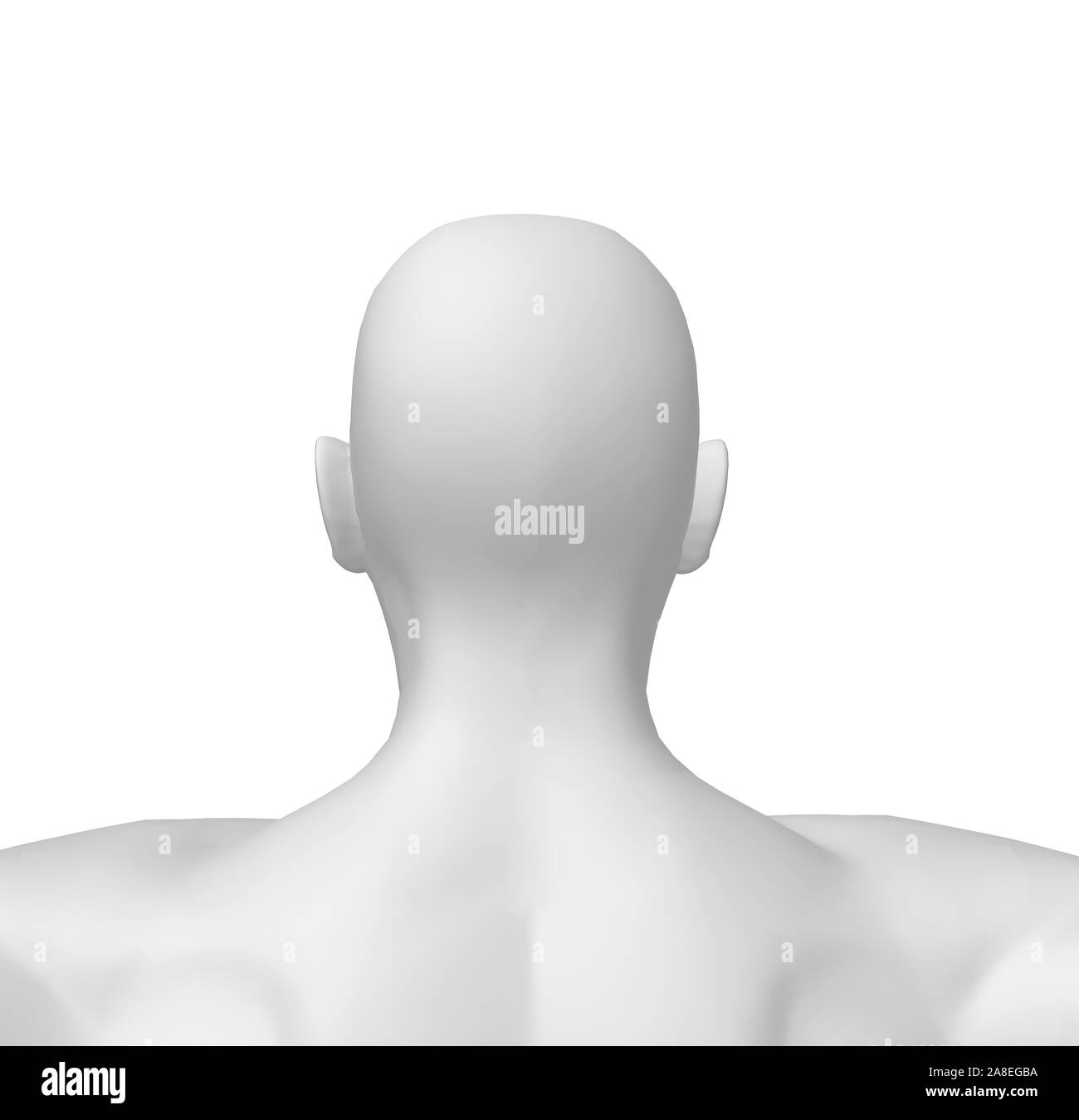 3d anatomical Black and White Stock Photos & Images - Alamy