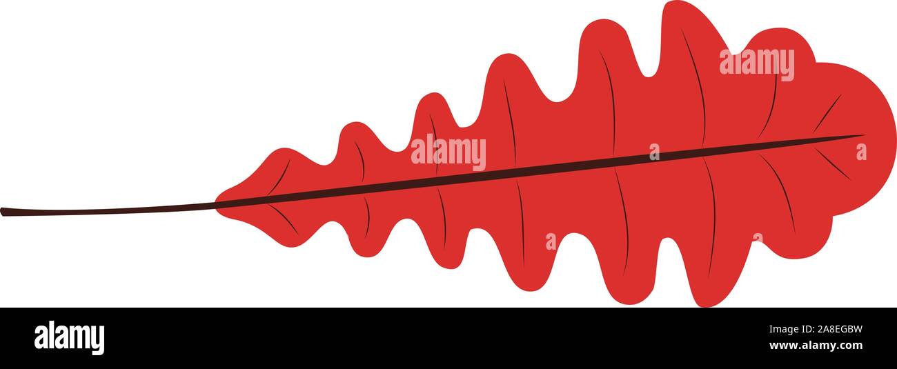 Isolated colored autumn leaf image - Vector illustration Stock Vector ...