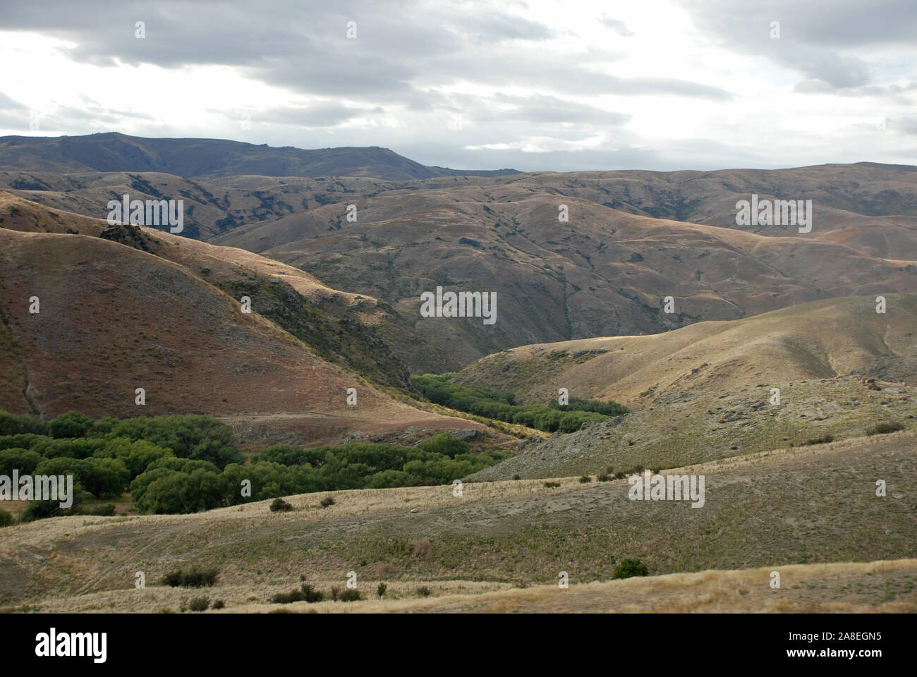 Lindis Pass, between Otago and Waitaki Basin, South Island, New Zealand ...