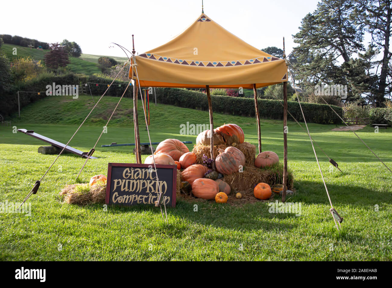 Giant pumpkin competition Stock Photo - Alamy