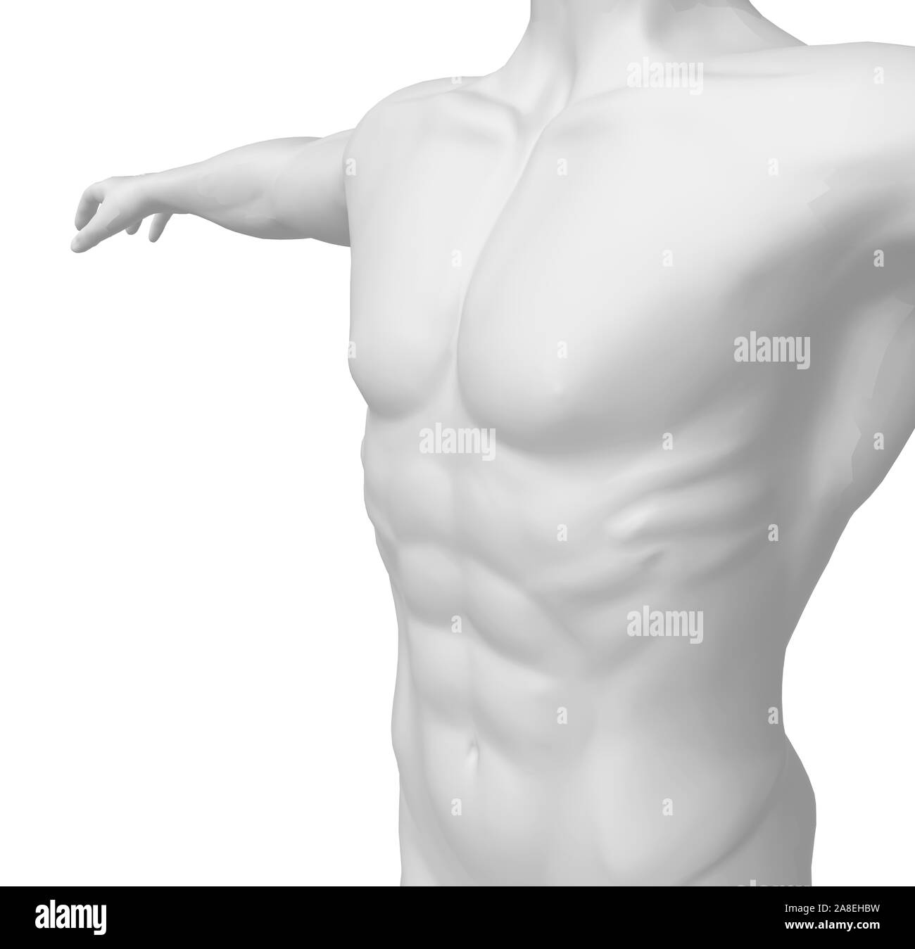 Male human body illustration 3d Black and White Stock Photos & Images ...