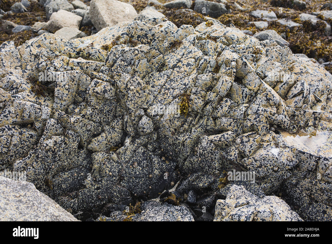 Large rock on Stein beach, Isle of Skye, Scotland Stock Photo - Alamy