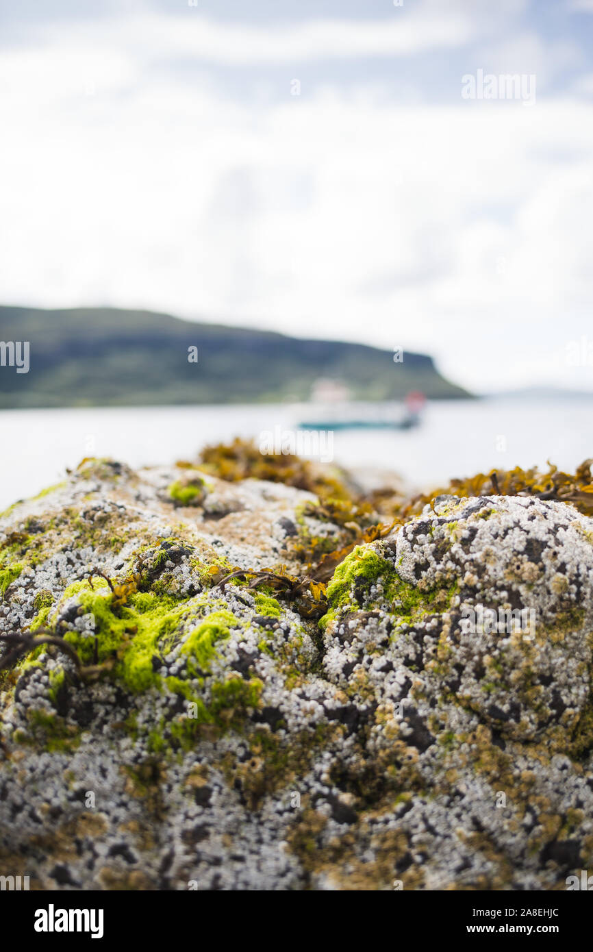 Metamorphic rock landscape hi-res stock photography and images - Alamy