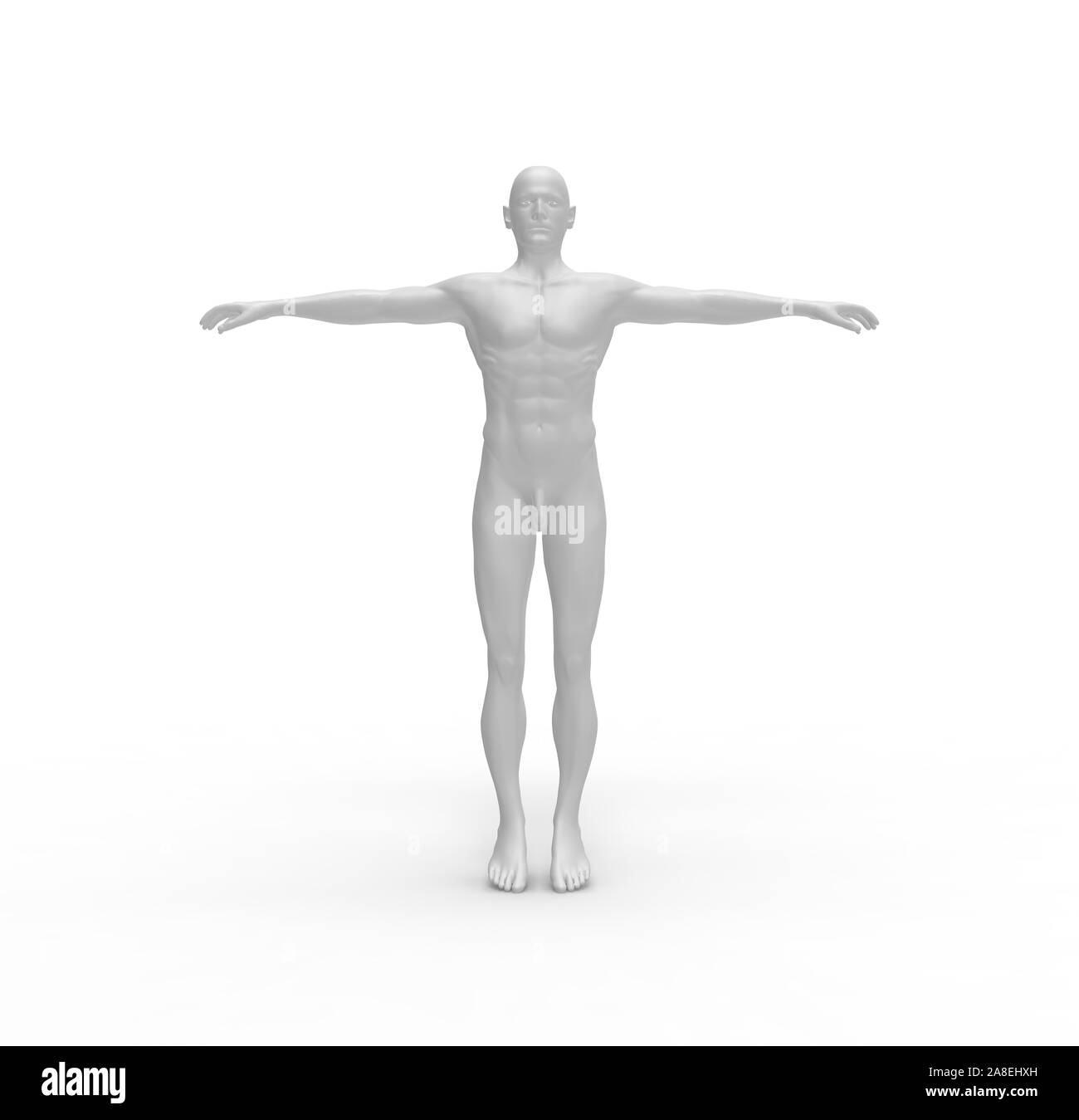 Human Man White Body 3D Rendering Stock Photo - Alamy