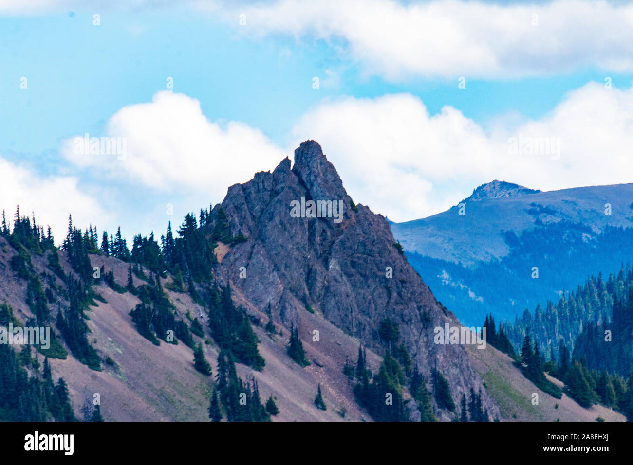 Olympic National Park Hurricane ridge landscape fauna Stock Photo - Alamy