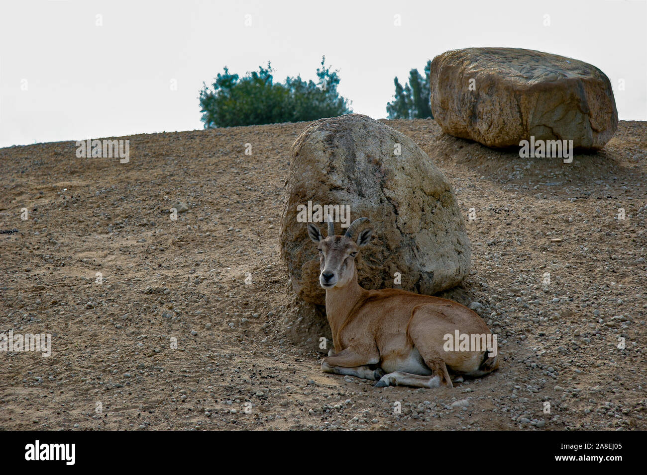 Two large stones hi-res stock photography and images - Alamy