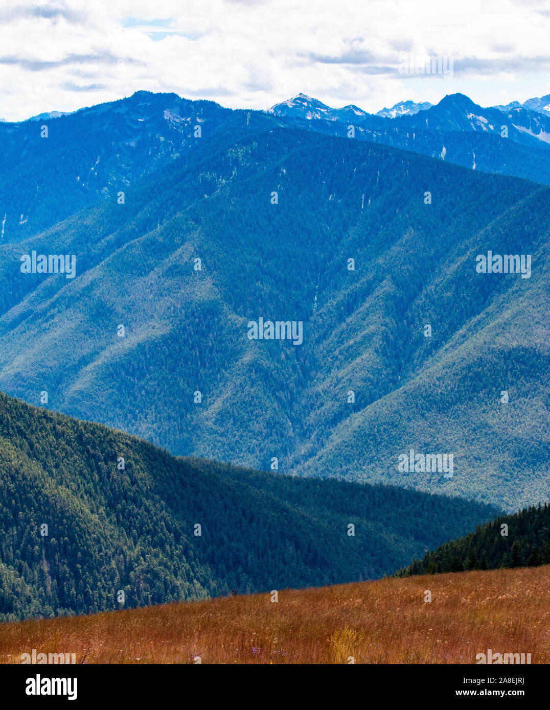 Ridge view ranger hi-res stock photography and images - Alamy