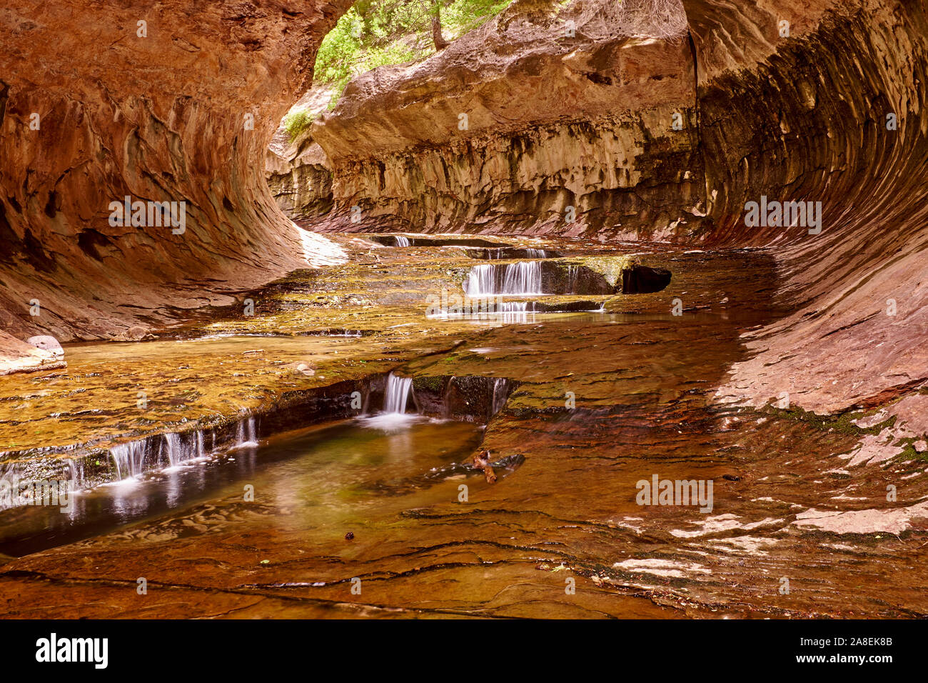 In The Subway, Zion National Park, Utah, USA Stock Photo - Alamy
