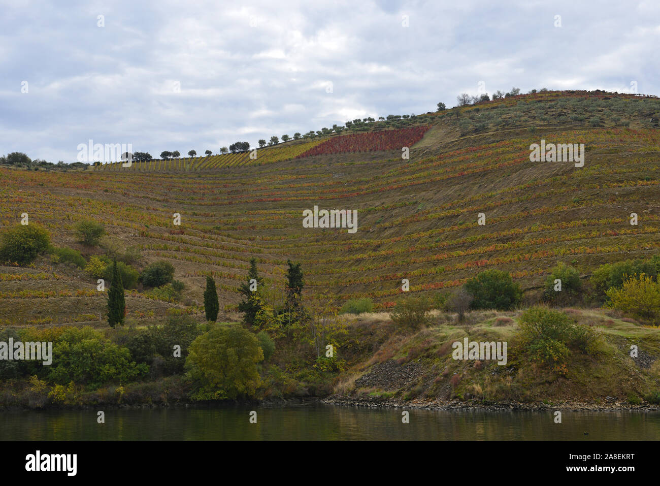 Scenic Douro River Cruise Stock Photo - Alamy