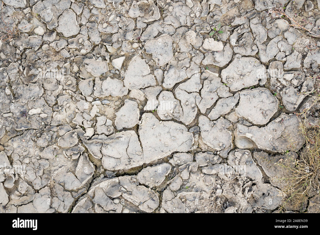 Dry ground as a texture or background Stock Photo - Alamy