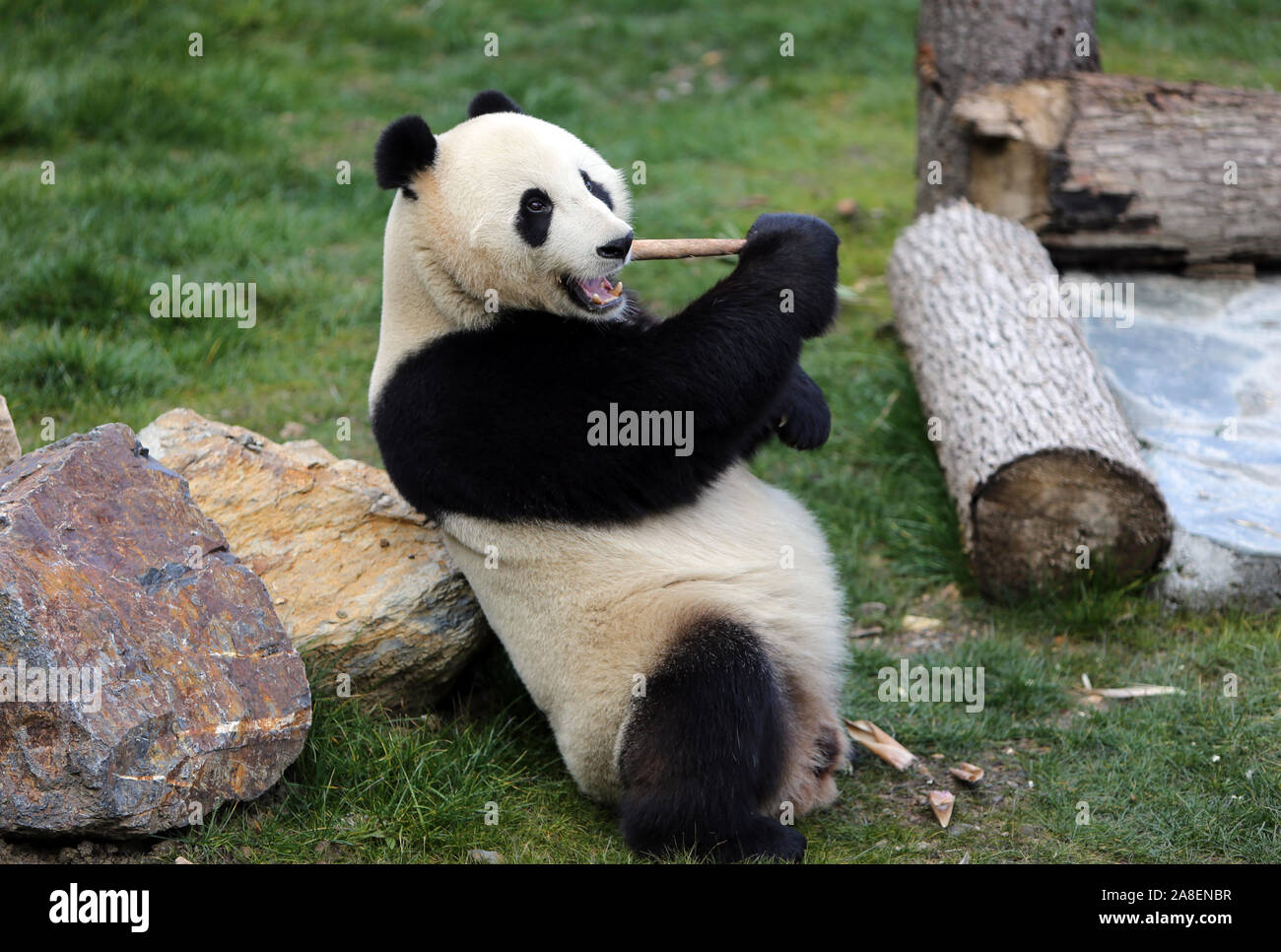 Tian hai hi-res stock photography and images - Alamy