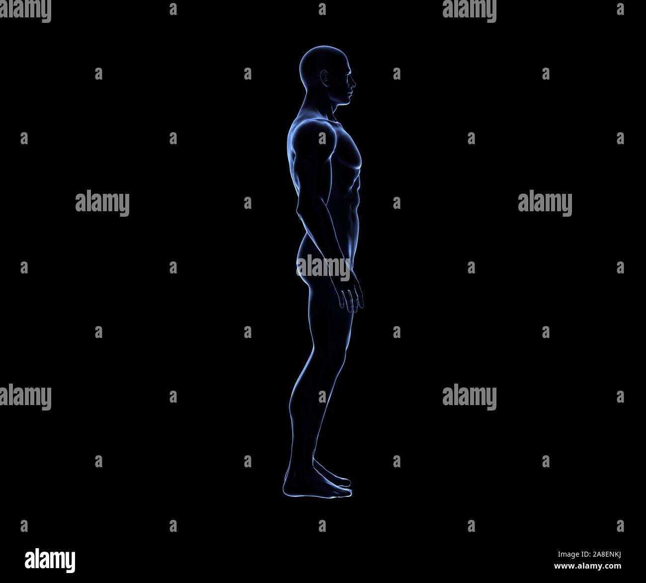 Human Man Body on Black Glow silhouette, 3D Rendering Stock Photo - Alamy