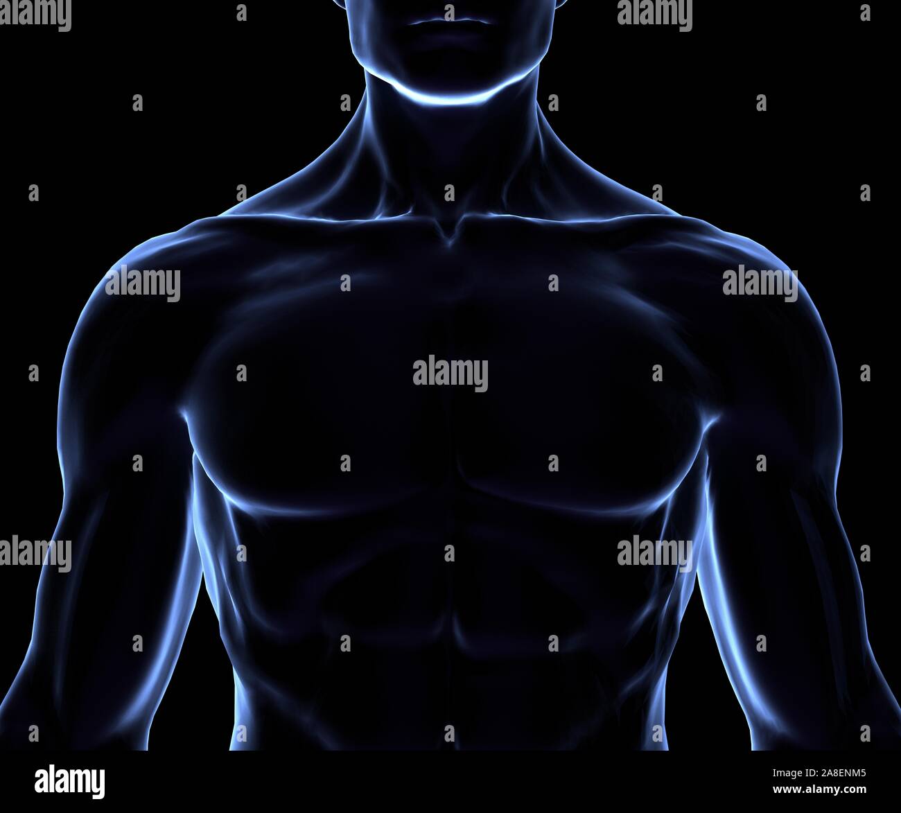 Human Man Front on Black Glow silhouette, 3D Rendering Stock Photo - Alamy