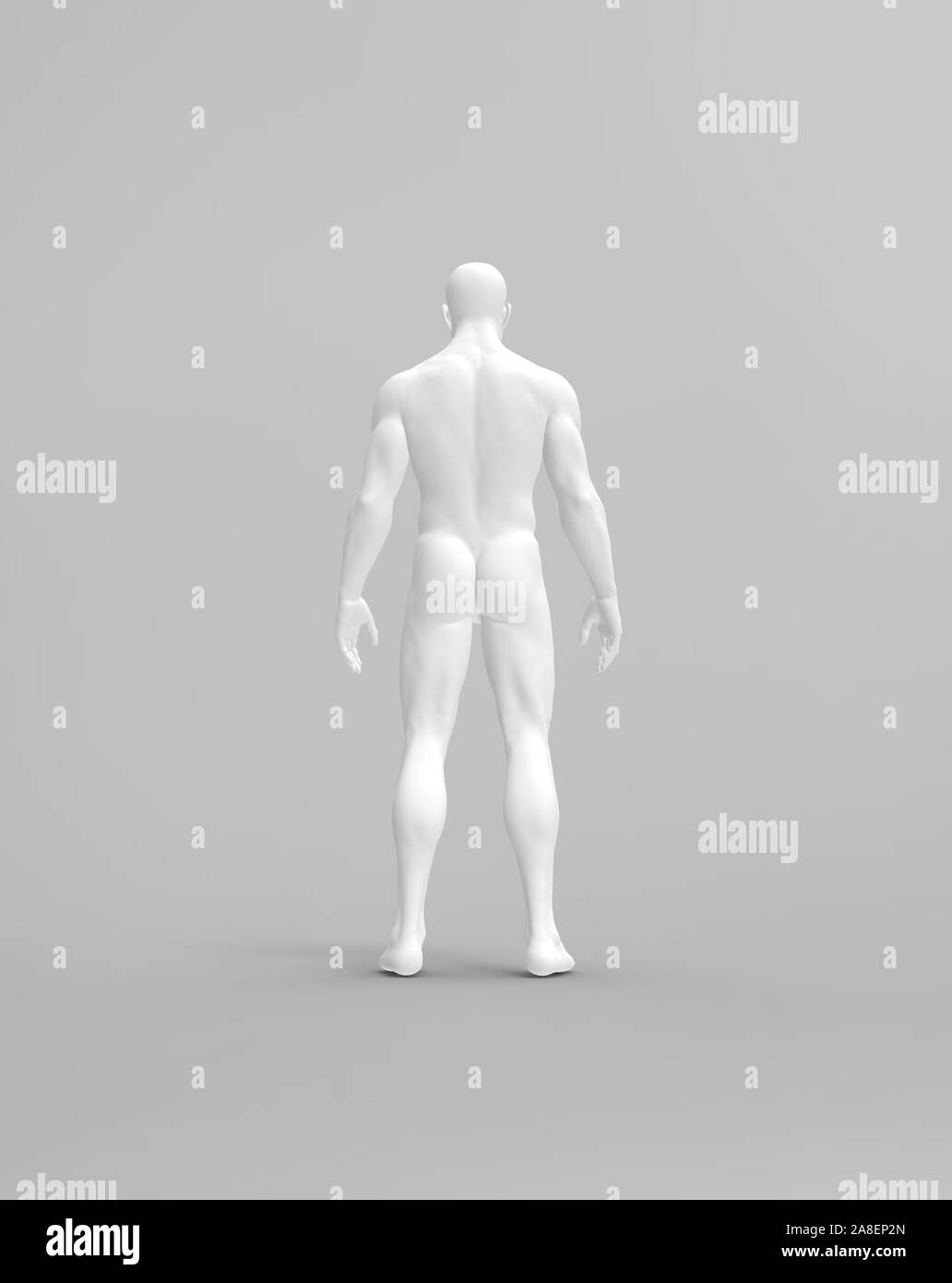Human Man Body 3D Rendering Stock Photo - Alamy