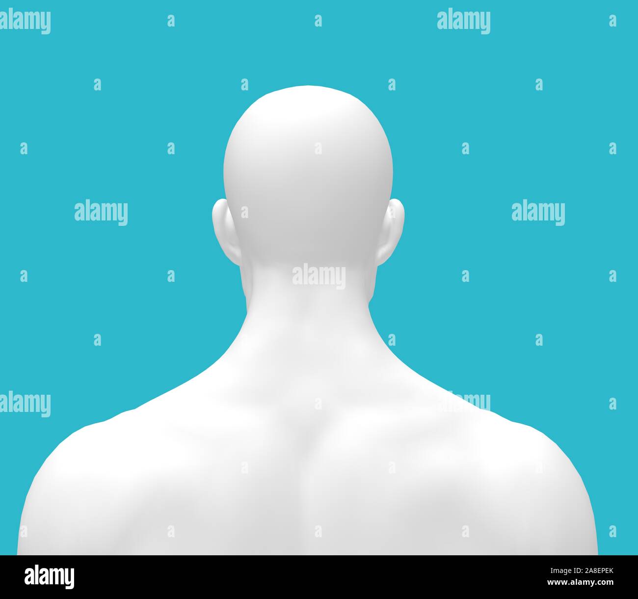 Human Man Body Back, 3D Rendering Stock Photo - Alamy