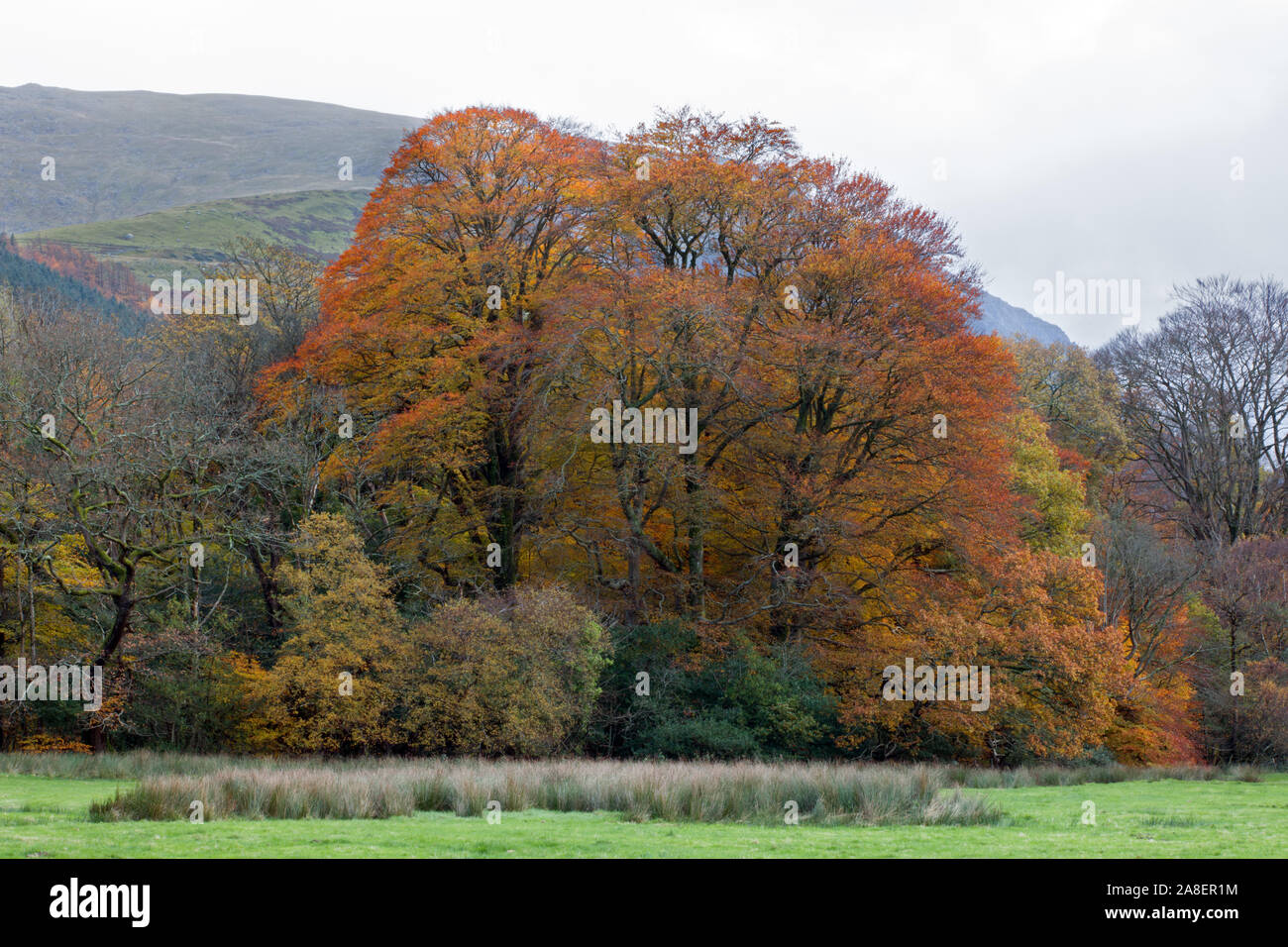 Ogwen Valley is a stunning part of the Snowdonia National Park in north ...