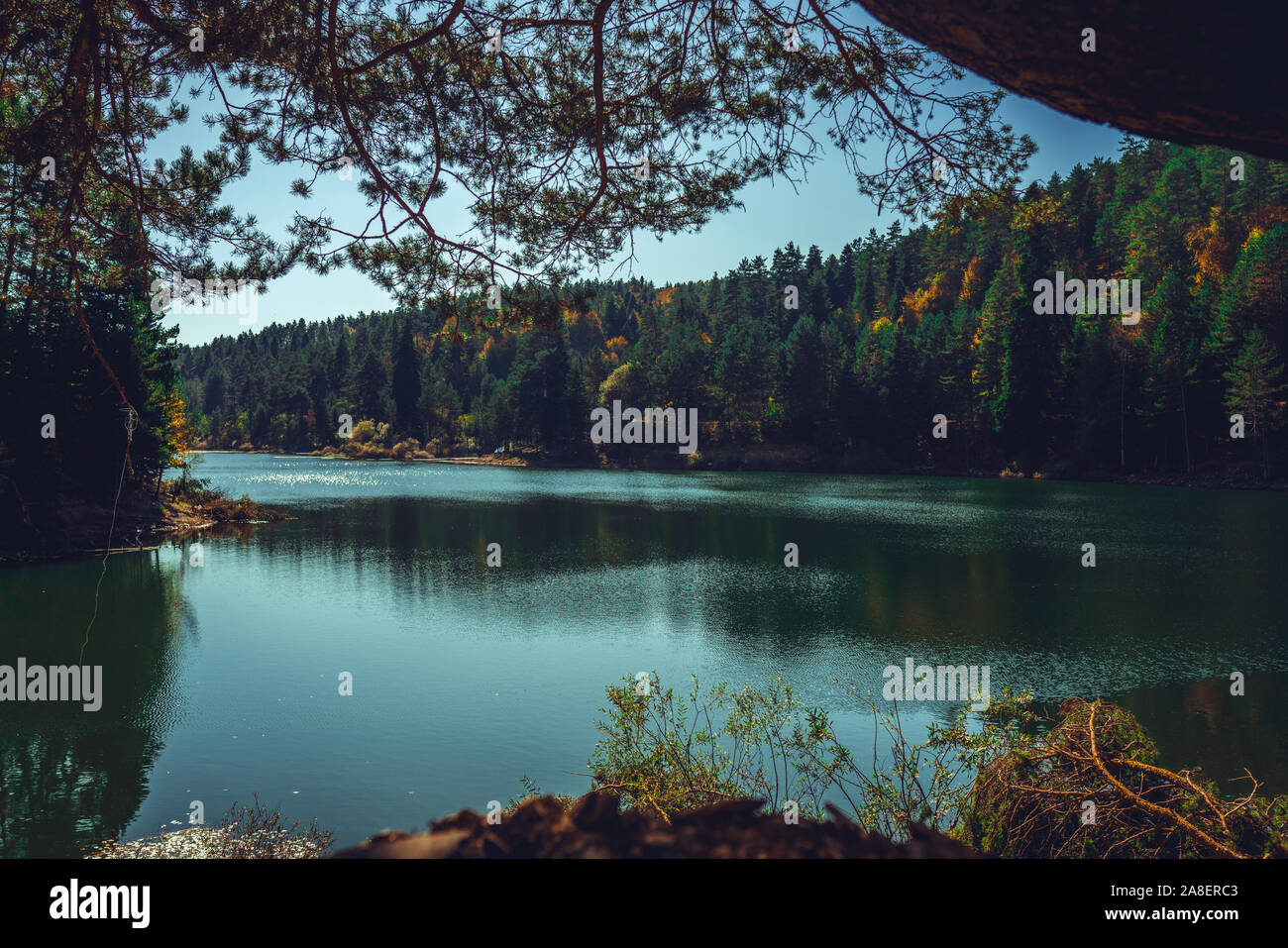 Spooky lake forest hi-res stock photography and images - Alamy