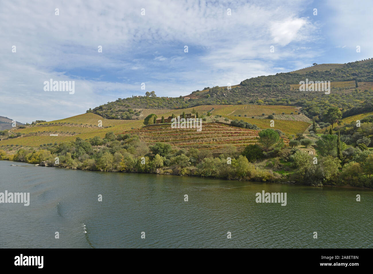 Scenic Douro River Cruise Stock Photo - Alamy