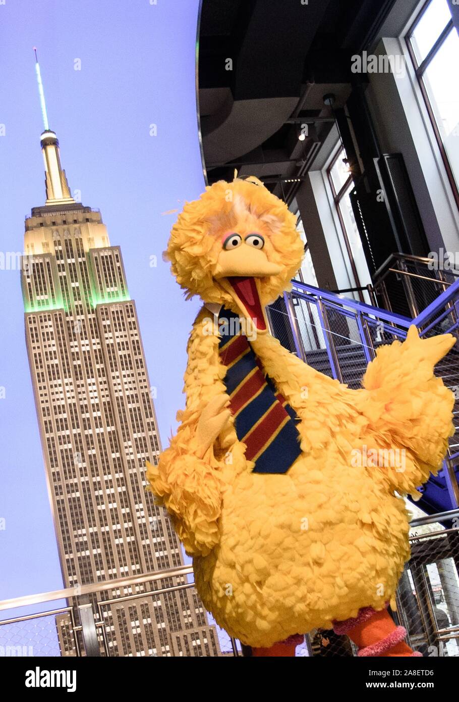 New York, NY, USA. 8th Nov, 2019. Big Bird Photo Call for Big Bird ...
