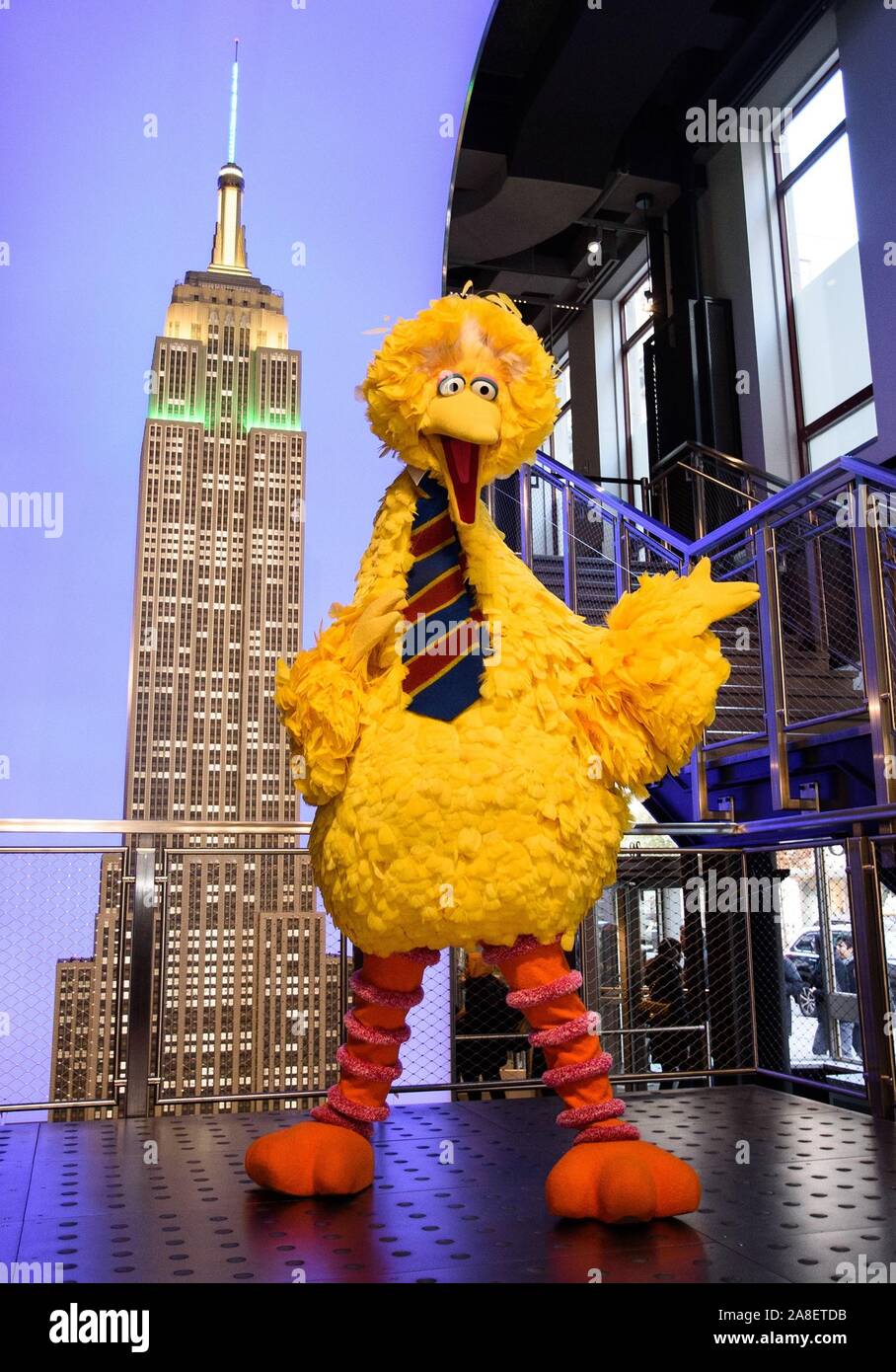 New York, NY, USA. 8th Nov, 2019. Big Bird Photo Call for Big Bird ...
