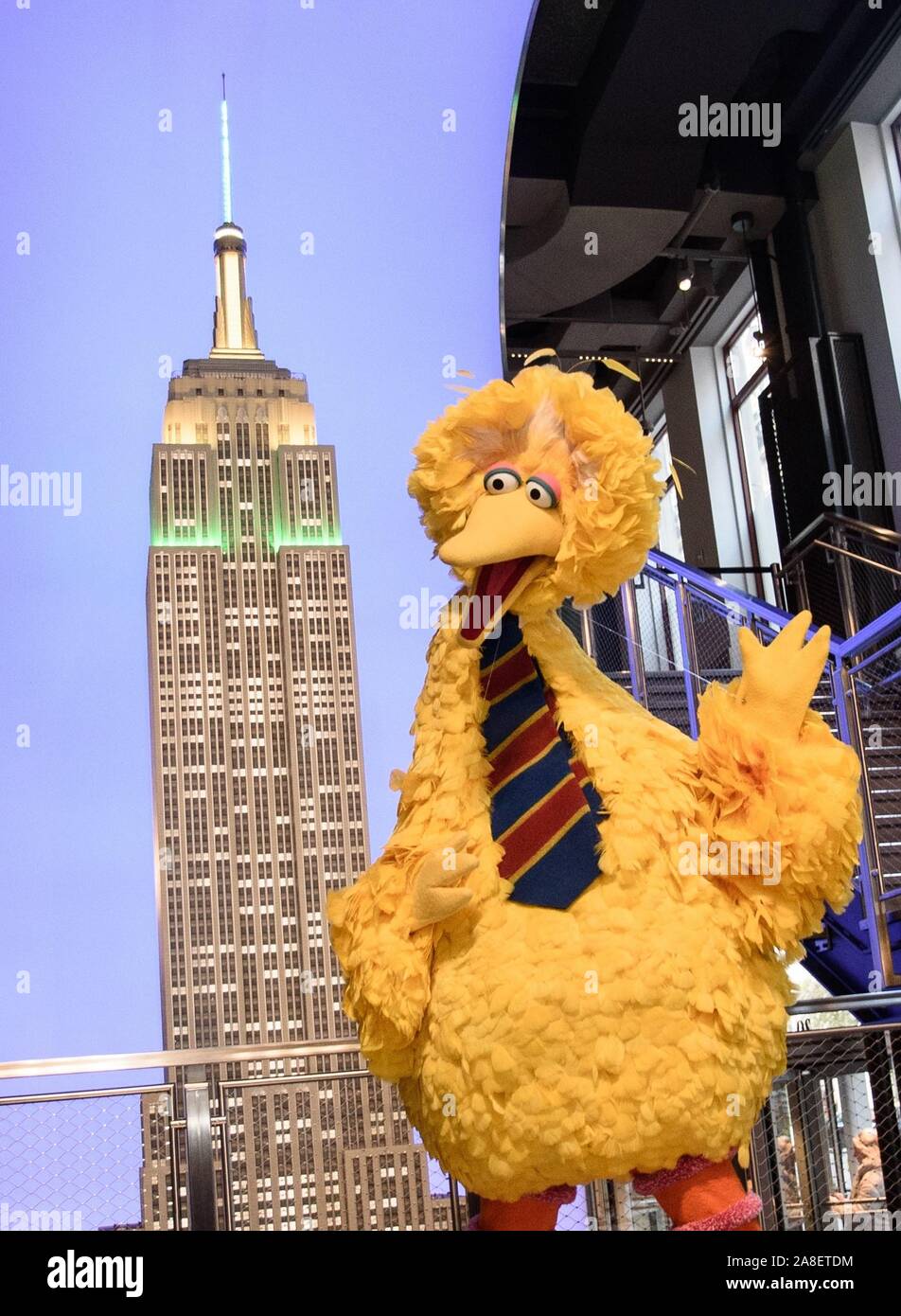 New York, NY, USA. 8th Nov, 2019. Big Bird Photo Call for Big Bird ...