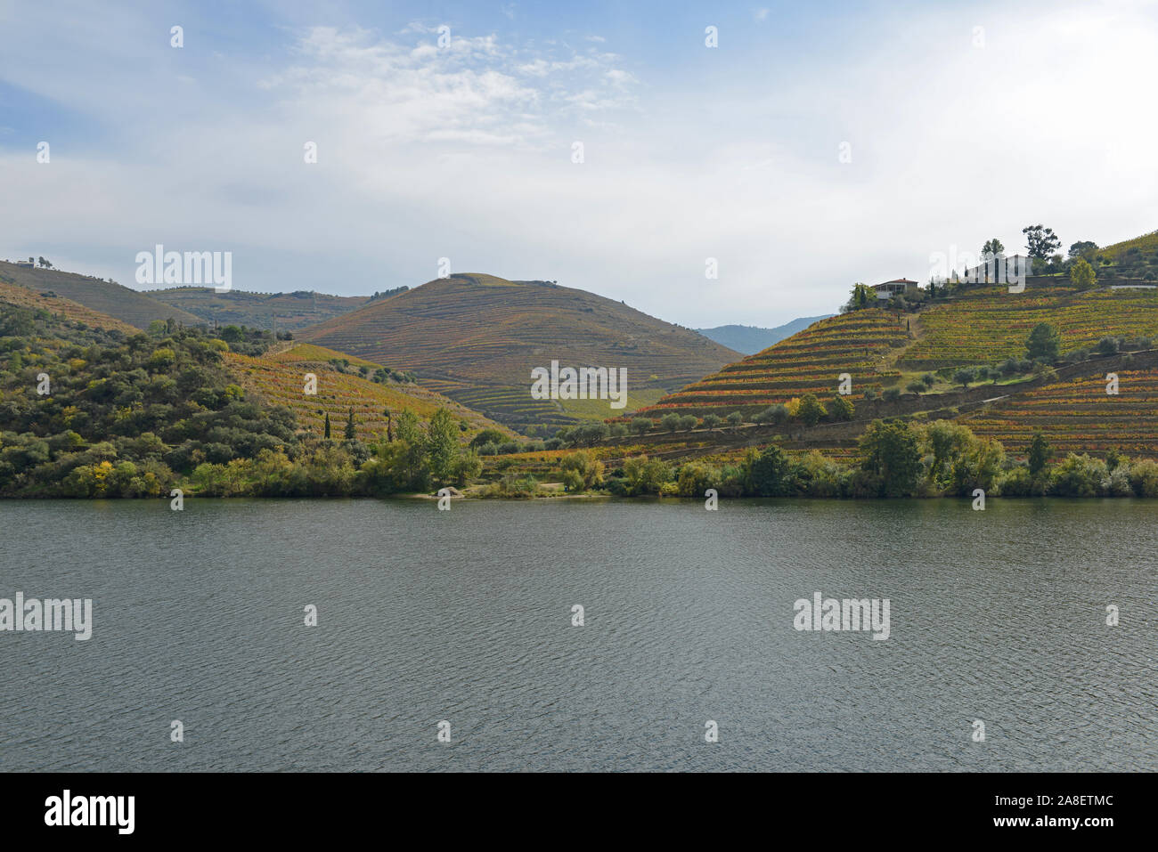 Scenic Douro River Cruise Stock Photo - Alamy