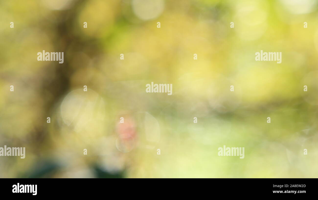 Blurred lens hi-res stock photography and images - Alamy