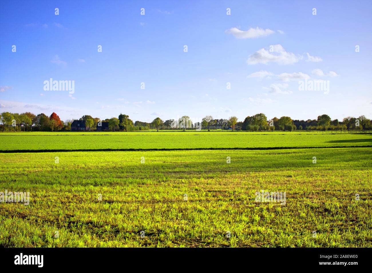 Horizontal rural landscape in the Netherlands Stock Photo - Alamy