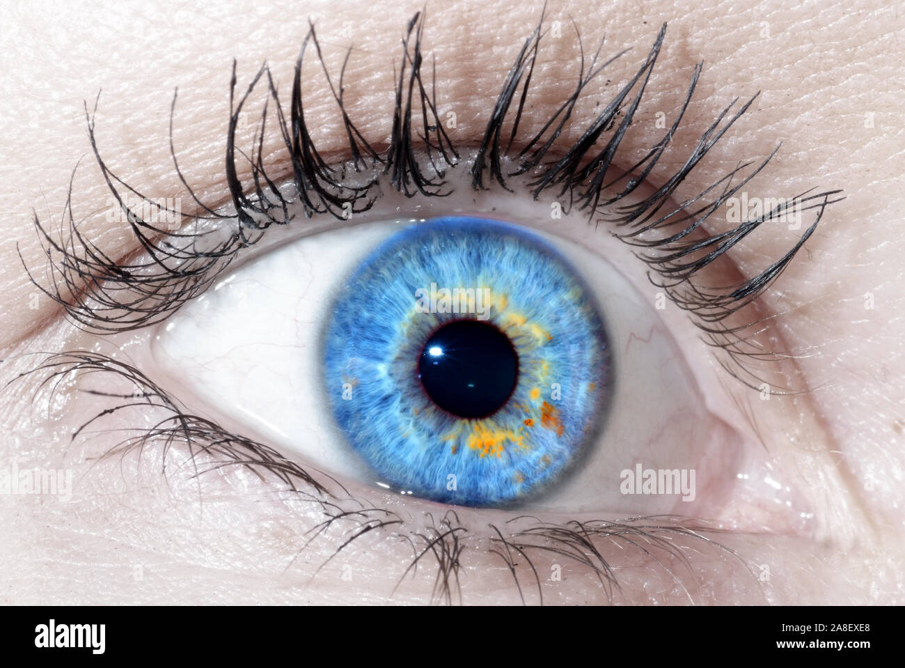 Blaues auge hi-res stock photography and images - Alamy