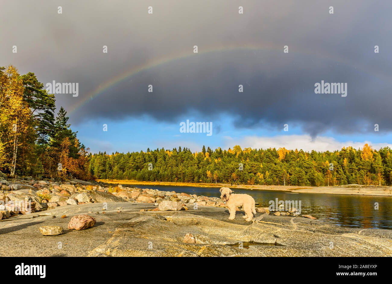 Kajosaari island, lake Ladoga, Karelia, Russia. 05.10, 2019 Stock Photo ...